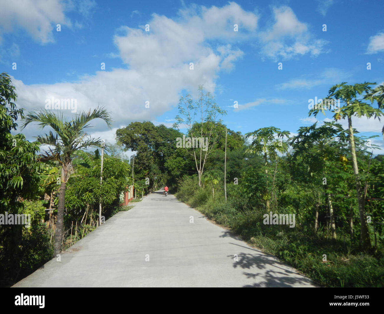 0201 Paddy fields grasslands trees Bagong Silang San Miguel Bulacan ...