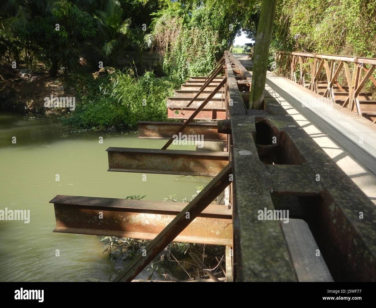 Aerial view of paddy fields, grasslands, and trees along Farm Market ...