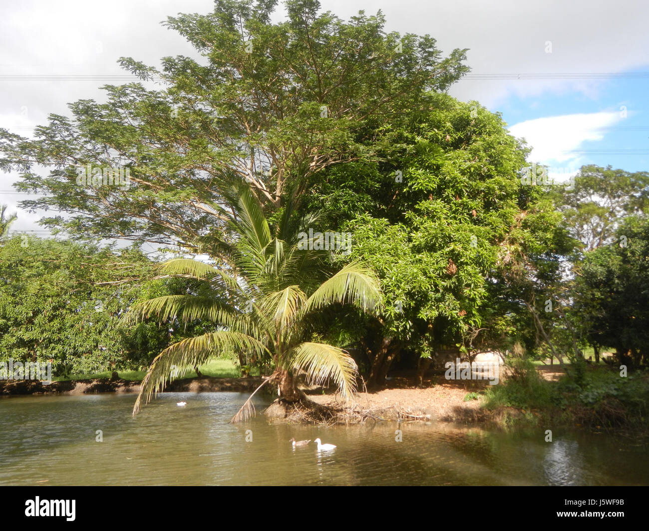 This image features the agricultural landscape of Bagong Silang in San ...