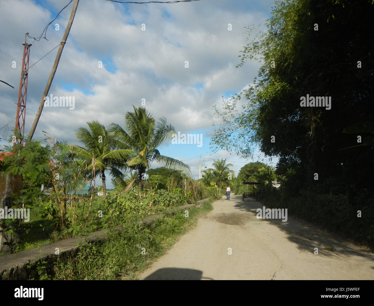 0514 Paddy fields trees Bagong Silang San Miguel Bulacan Farm Market ...