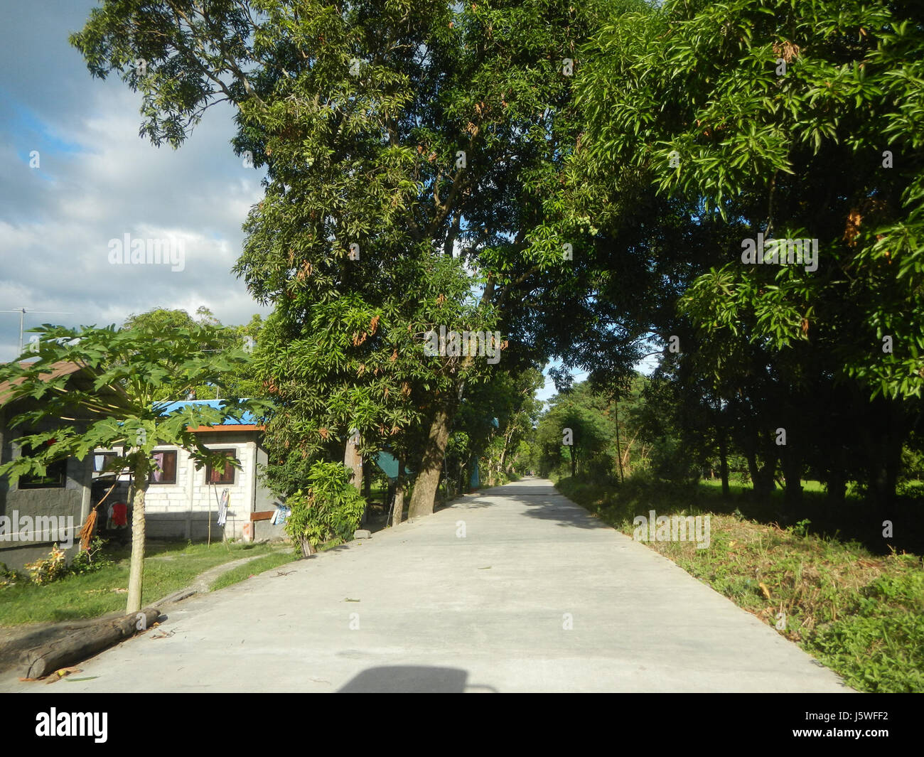 0541 Paddy fields Bagong Silang Ilog-Bulo San Miguel Bulacan Farm ...