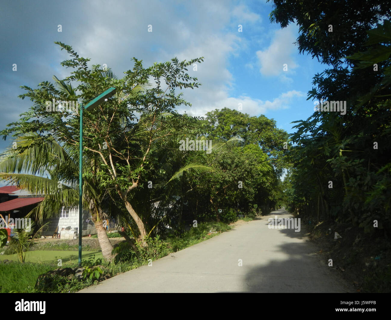 0541 Paddy fields Bagong Silang Ilog-Bulo San Miguel Bulacan Farm ...