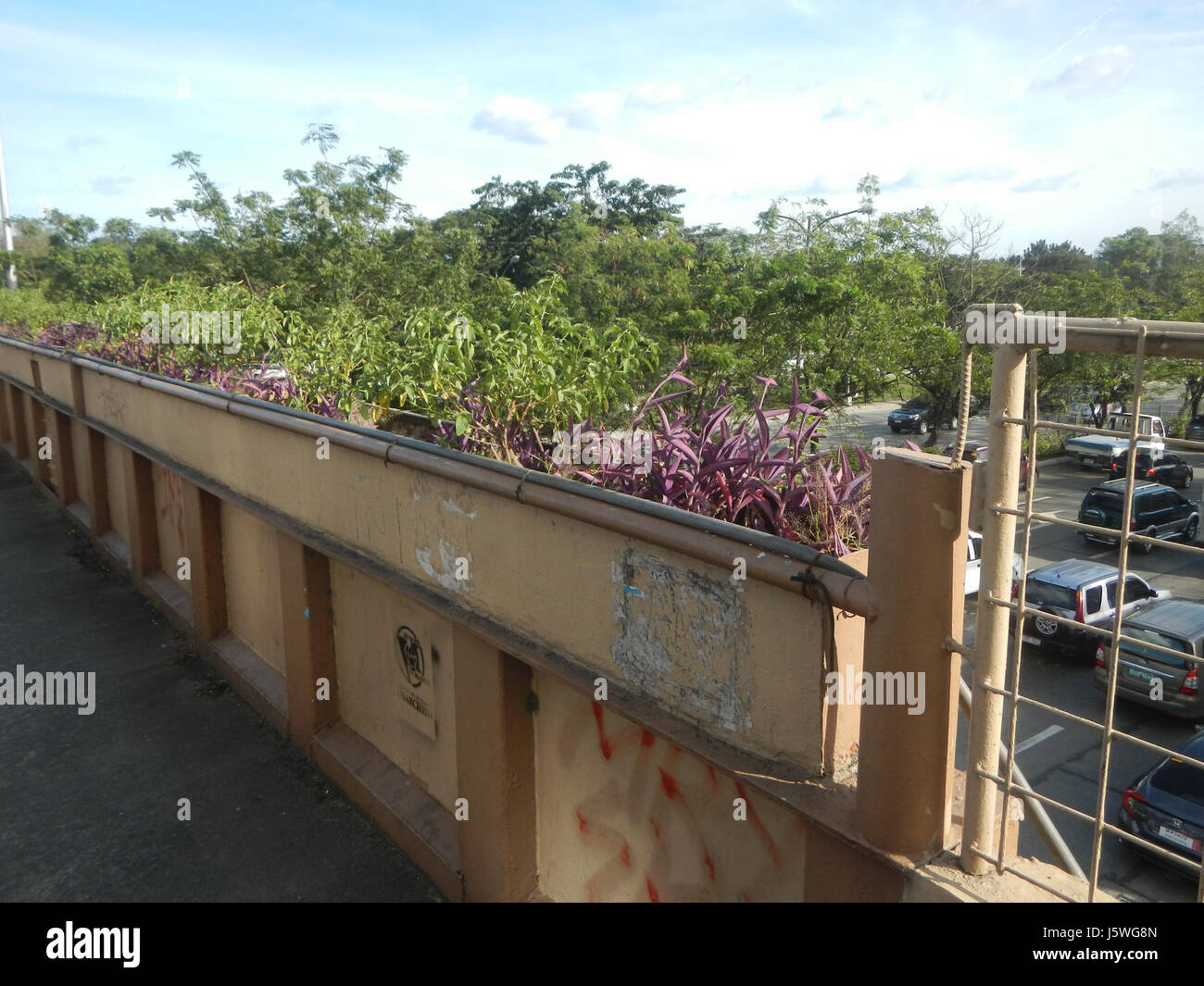 Miriam College and Ateneo de Manila University are prominent ...