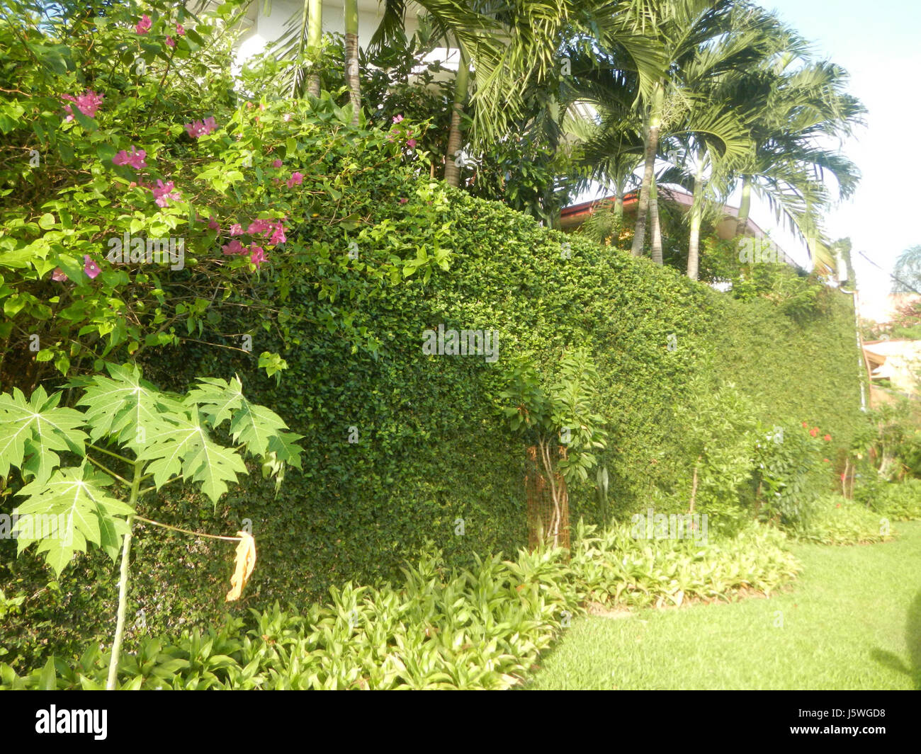 The Our Lady of the Cenacle Chapel in Loyola Heights, Quezon City, is a ...