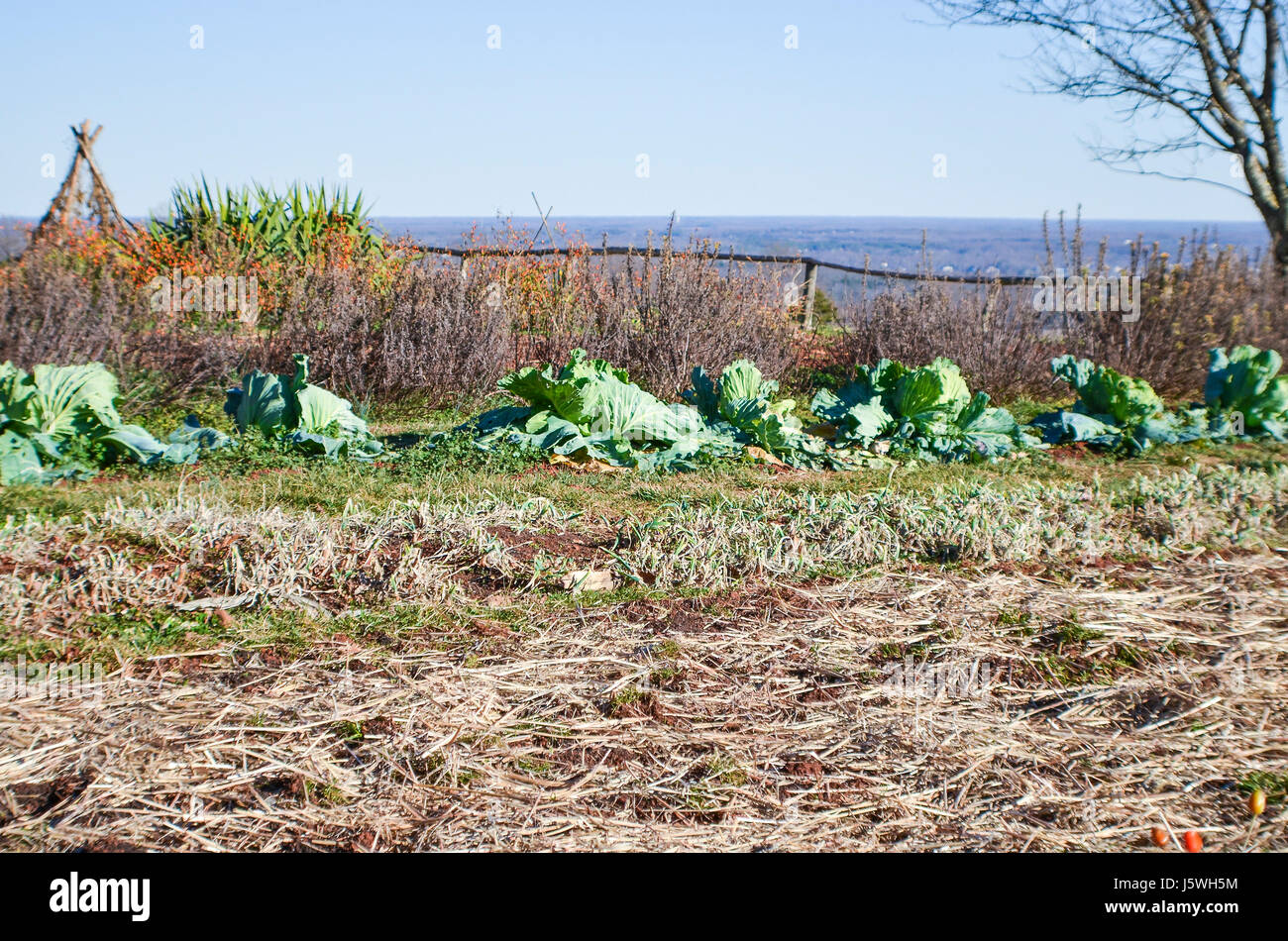 Vegetable garden on mountain with view of valley landscape in winter ...