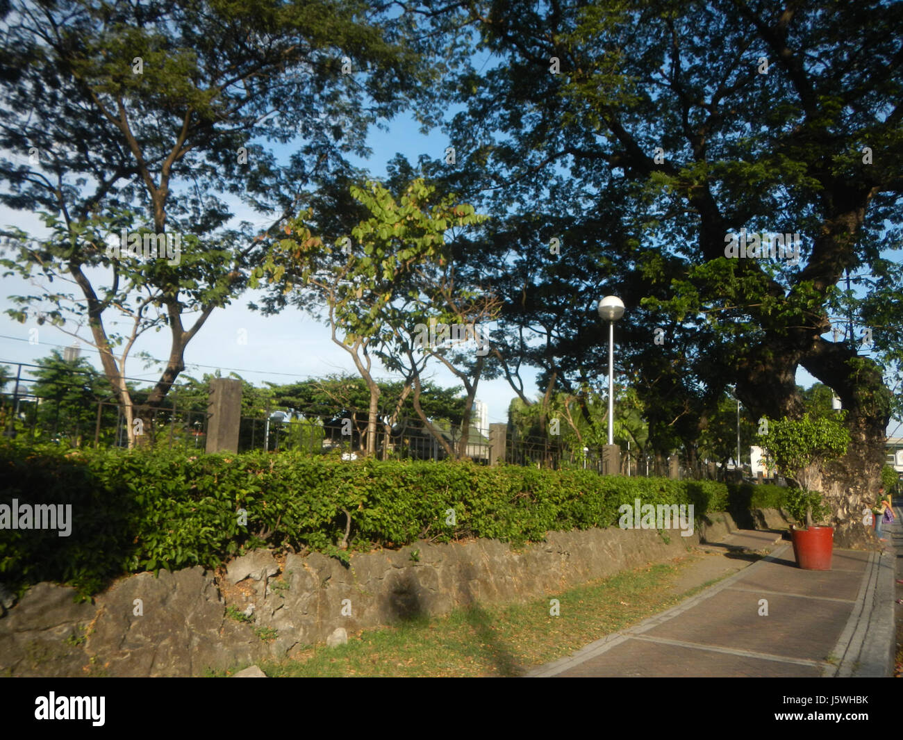 A view of the old trees and footbridges in Makati Park, located in the ...