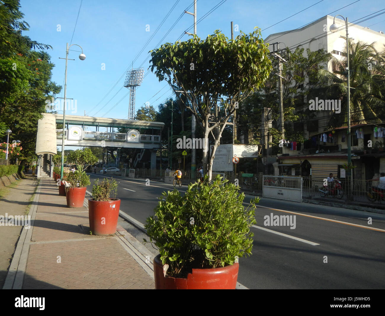 This image features old trees and footbridges located in Makati Park ...