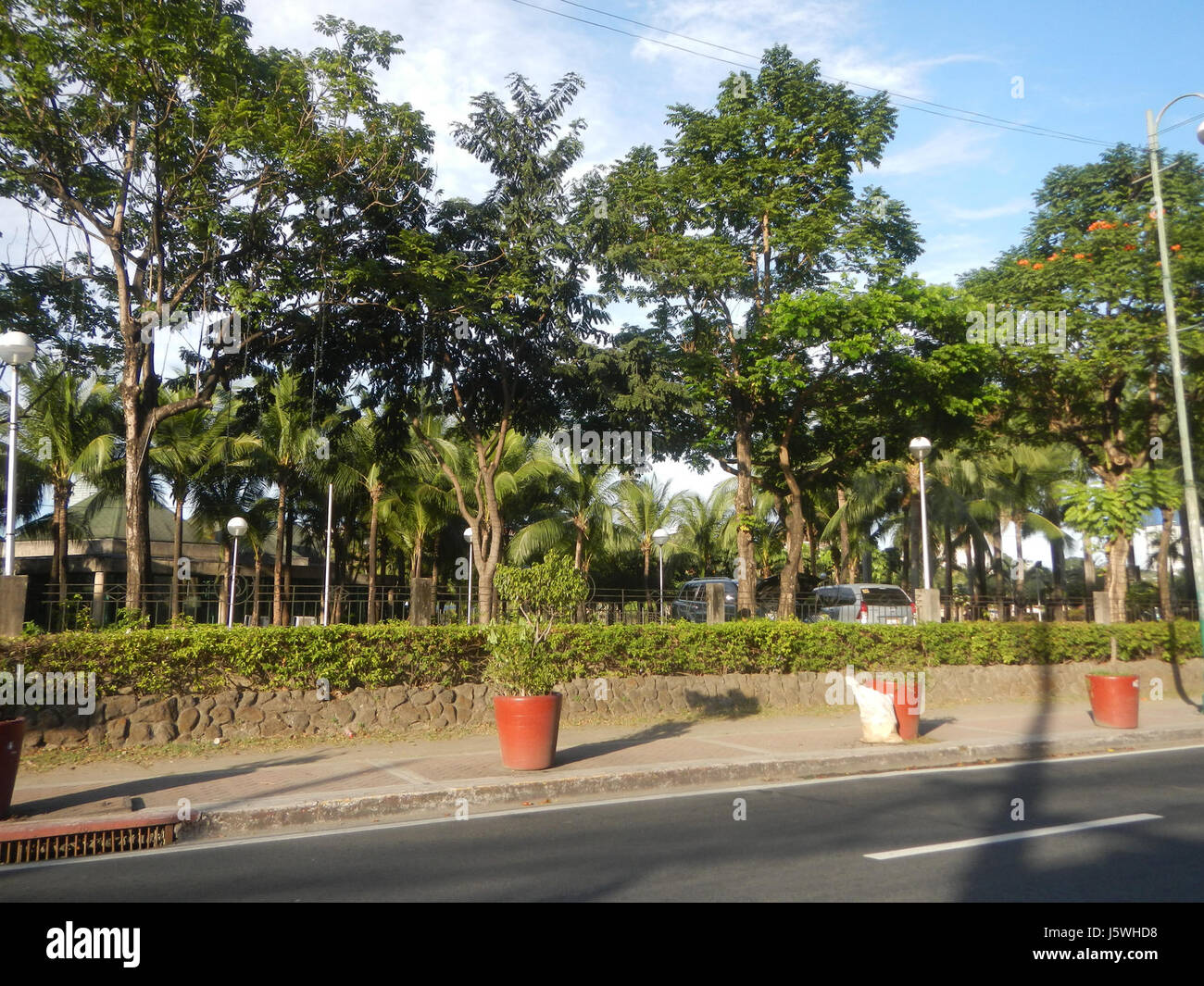 This photograph captures old trees and footbridges in Makati Park ...