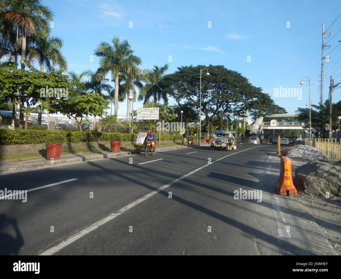 03633 Old trees footbridges Makati Park Garden West Rembo, Makati City ...