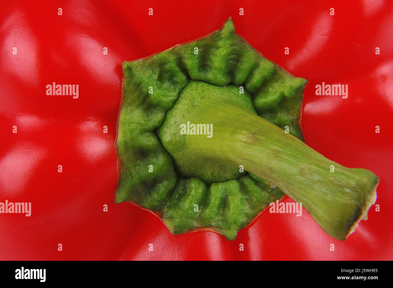 red pepper 4 Stock Photo - Alamy