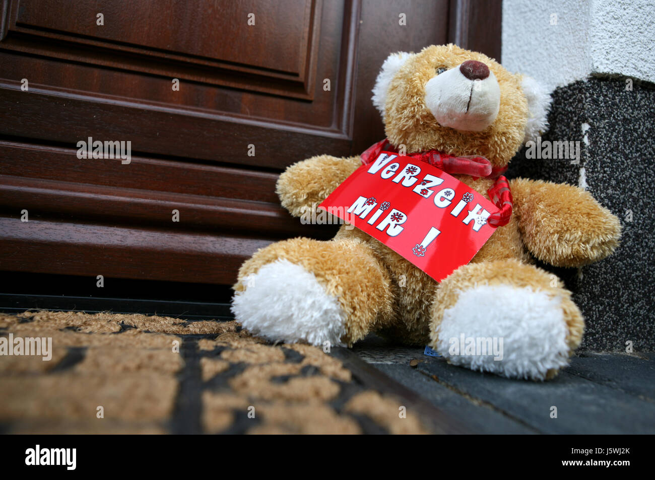 door teddy teddy bear teddybear excuse forgive pardon door toy teddy ...