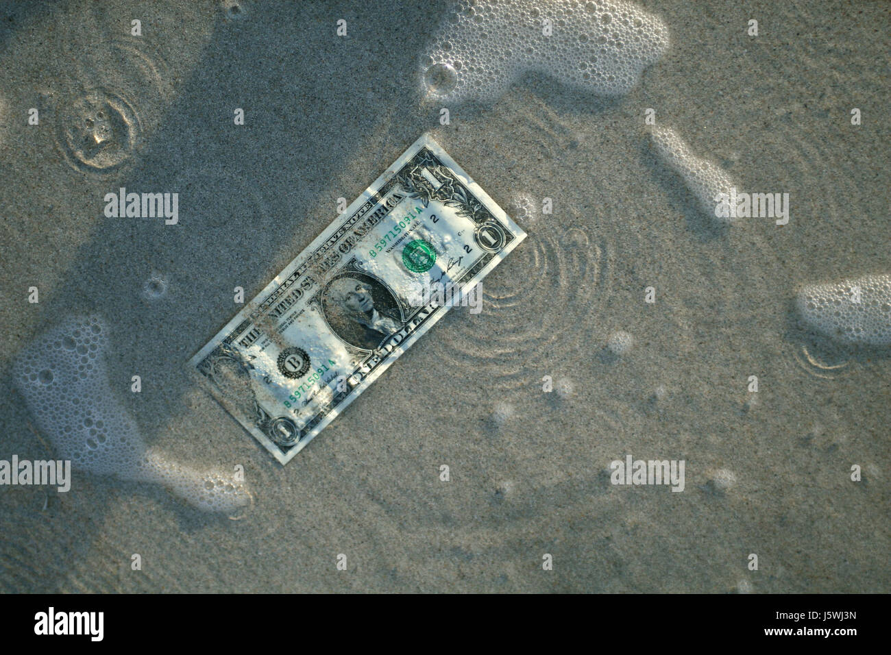 Dollar sea underwater hi-res stock photography and images - Alamy