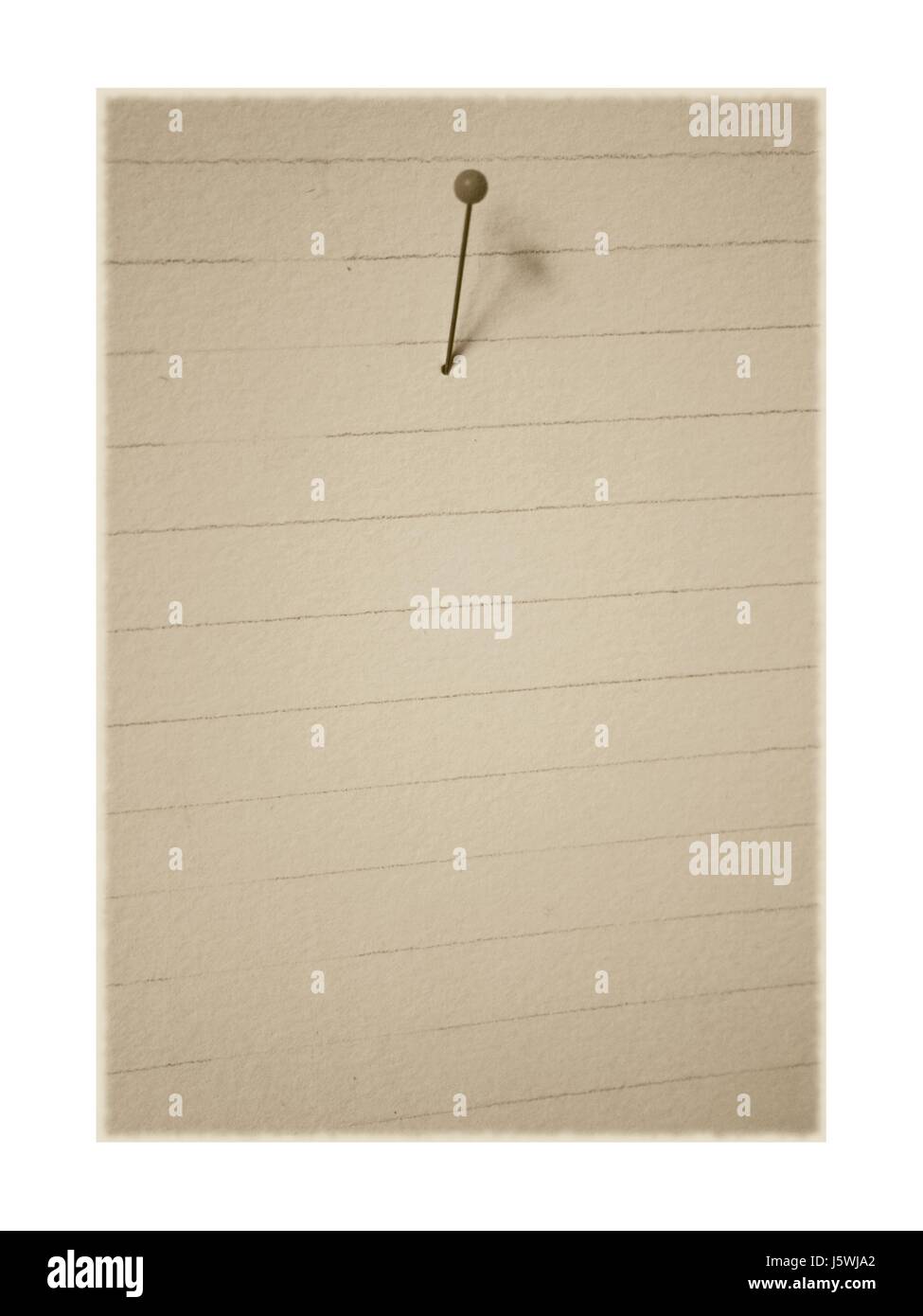 slip optional sepia blank european caucasian pin page sheet sheet of ...