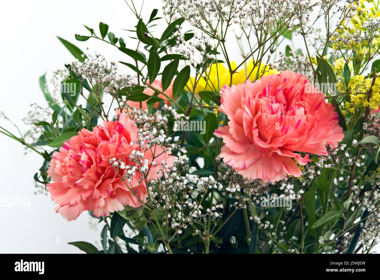 eco flower rose plant flowers romanticism bouquet flower plant green ...