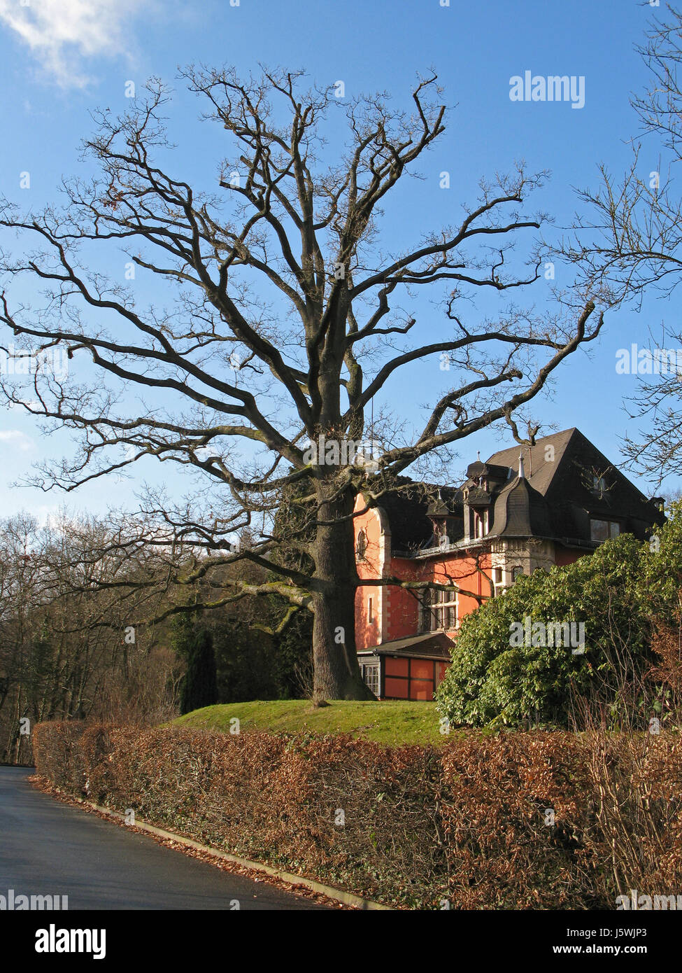 tree wealth villa luxury expenditure pomp affluence magnificence ...