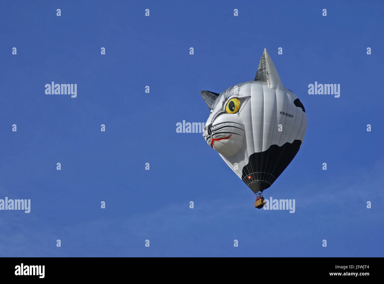 Hobby cats hi-res stock photography and images - Alamy