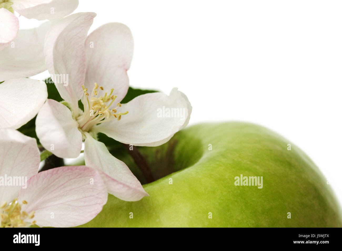 Granny smith apple bloom hi-res stock photography and images - Alamy