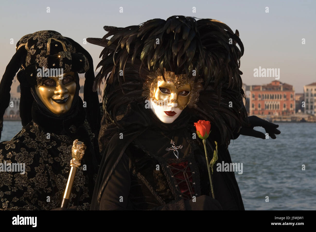harlequin and rose Stock Photo - Alamy