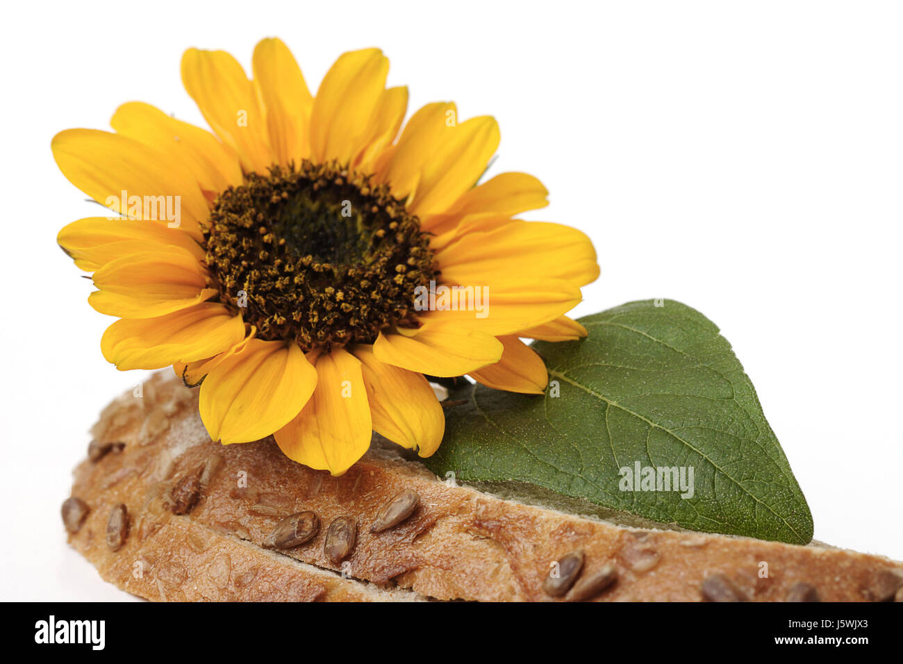 bread flower sunflower plant bark crust food aliment bread flower plant ...