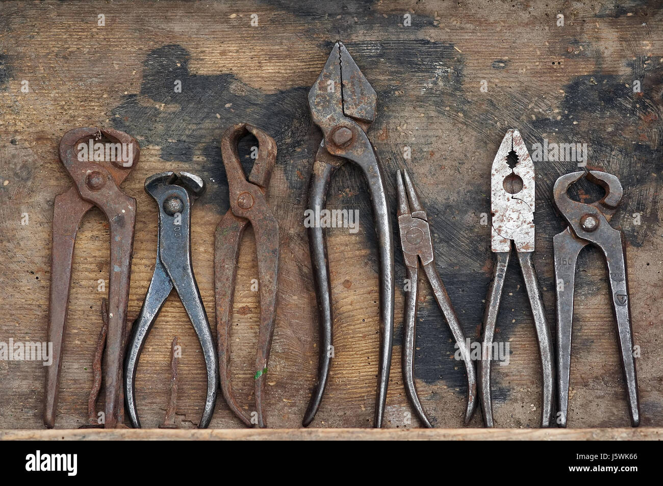 object tools detail equipment forceps tools furniture apparatus ...