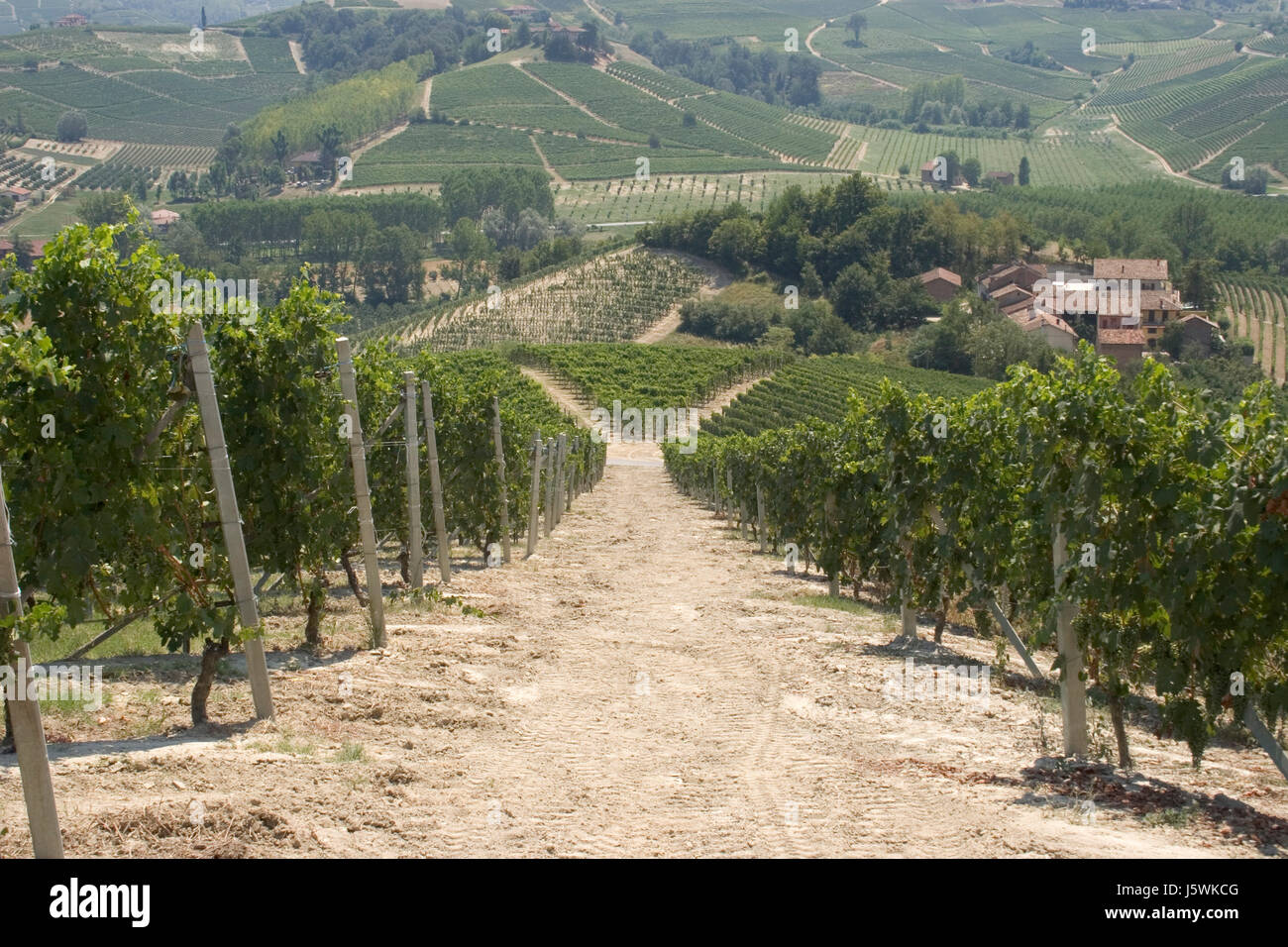 Routes of wineyard hi-res stock photography and images - Alamy