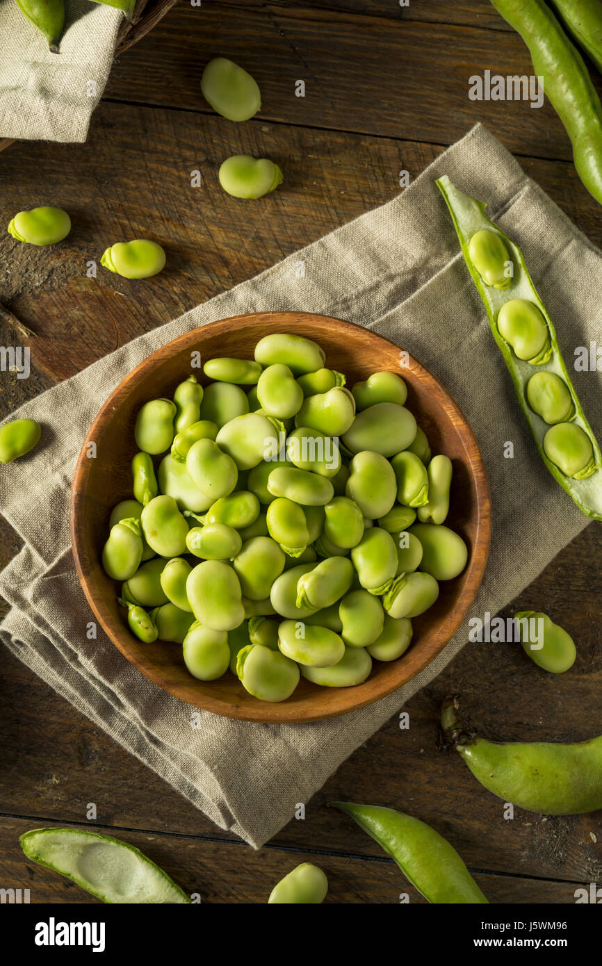 Raw Organic Fresh Green Fava Beans REady to Cook With Stock Photo - Alamy