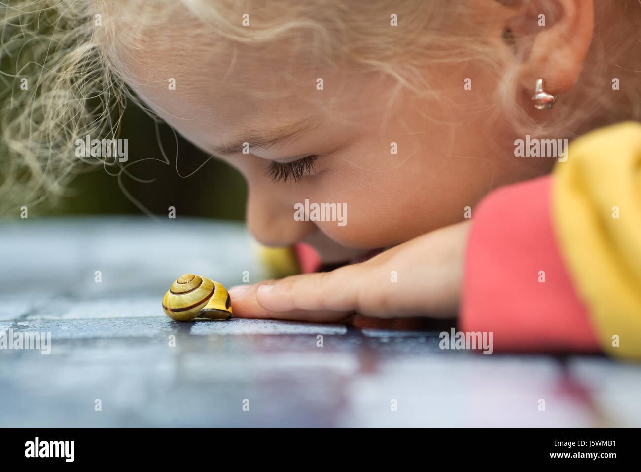 Snail waiting hi-res stock photography and images - Alamy