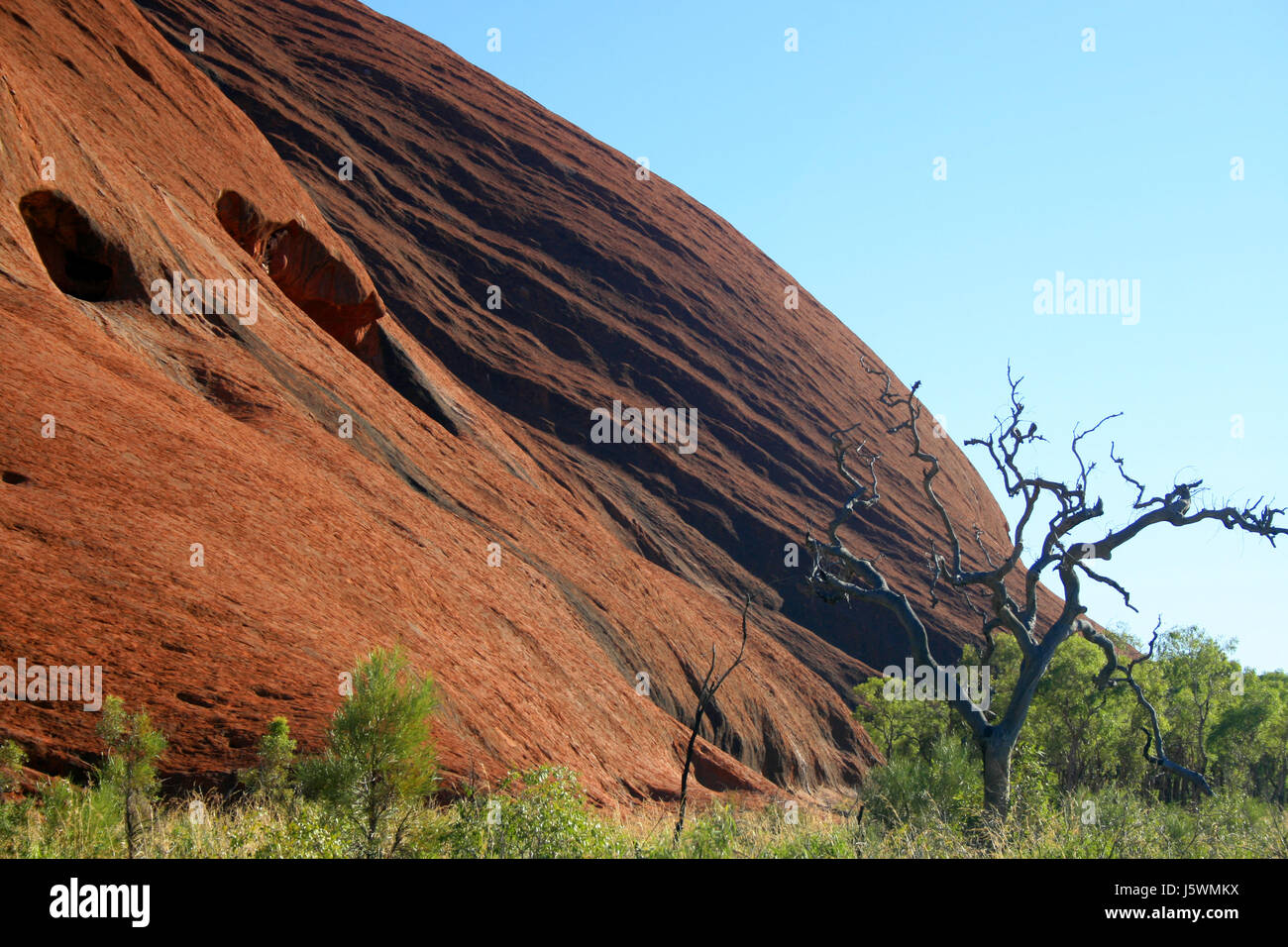 uluru (ayers rock Stock Photo - Alamy
