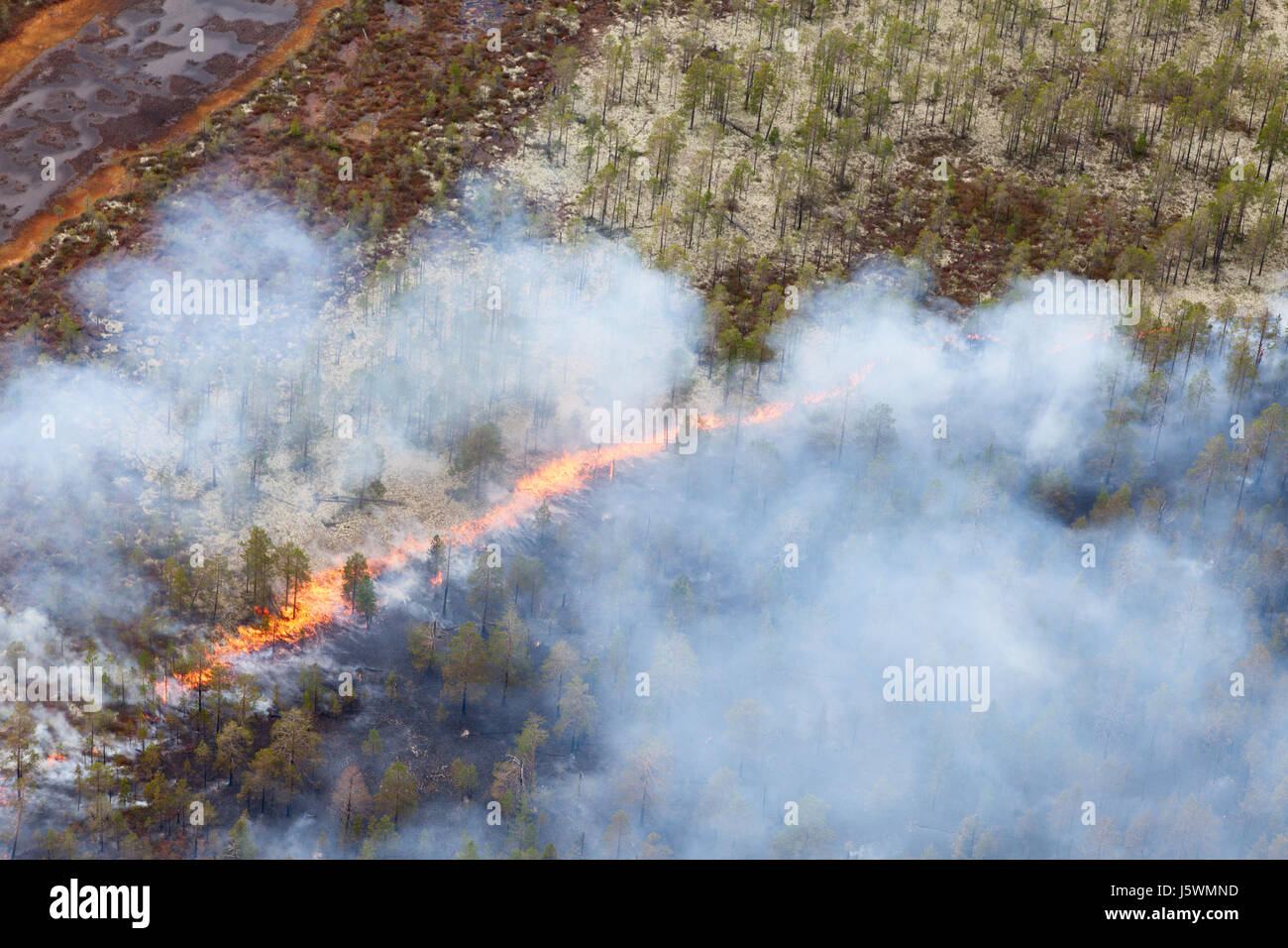 Forest fire, top view Stock Photo - Alamy
