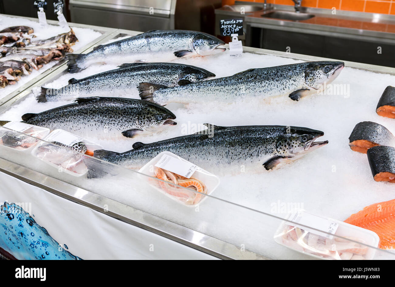 Samara, Russia - May 09, 2017: Salmon fish are frozen with ice for sale ...