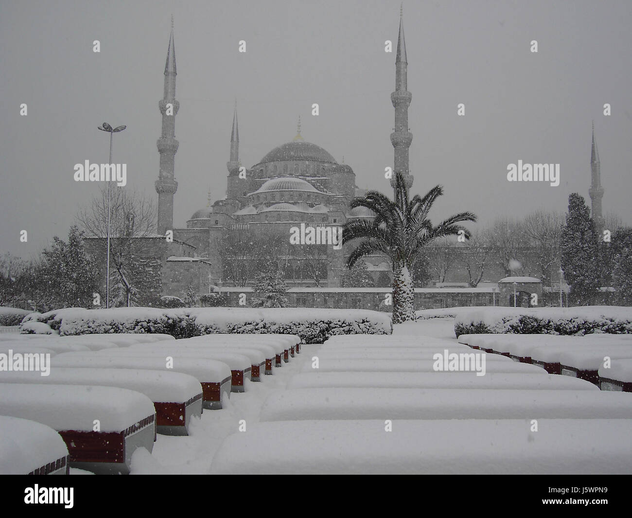 winter turkey mosque istanbul snow church cold palm tree east snows ...