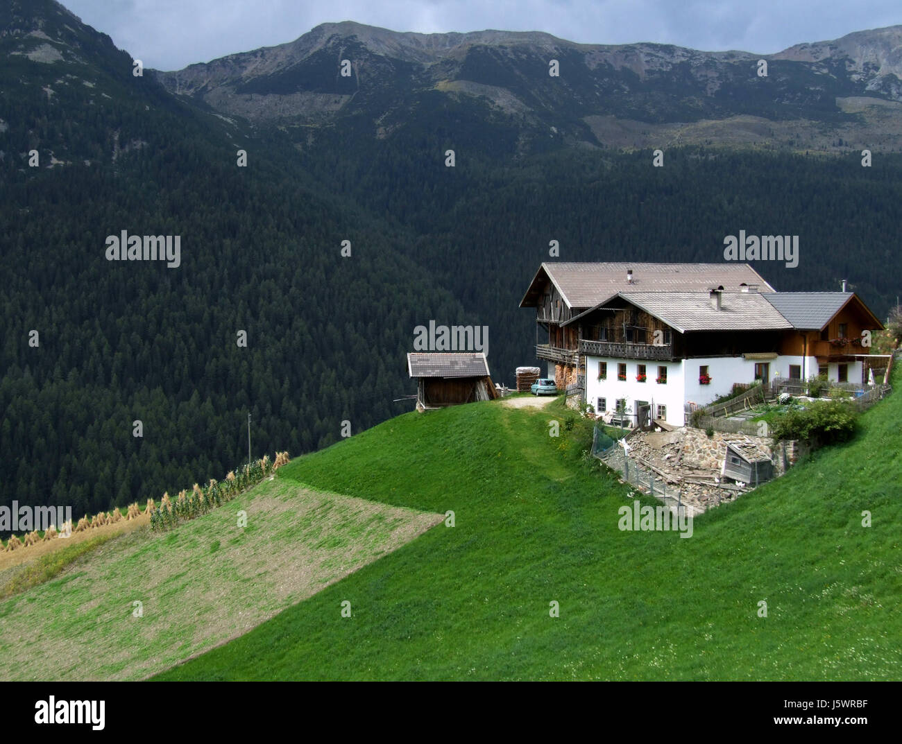 agriculture farming alps south tyrol farmhouse farm meadow agricultural ...