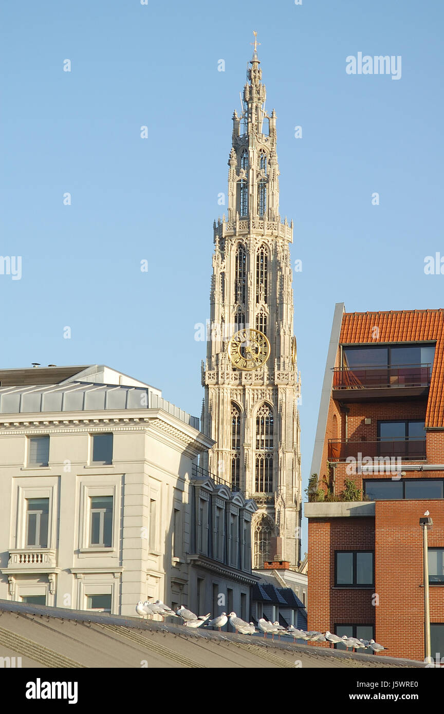 city town culture sights belgium storefronts destination antwerp church ...