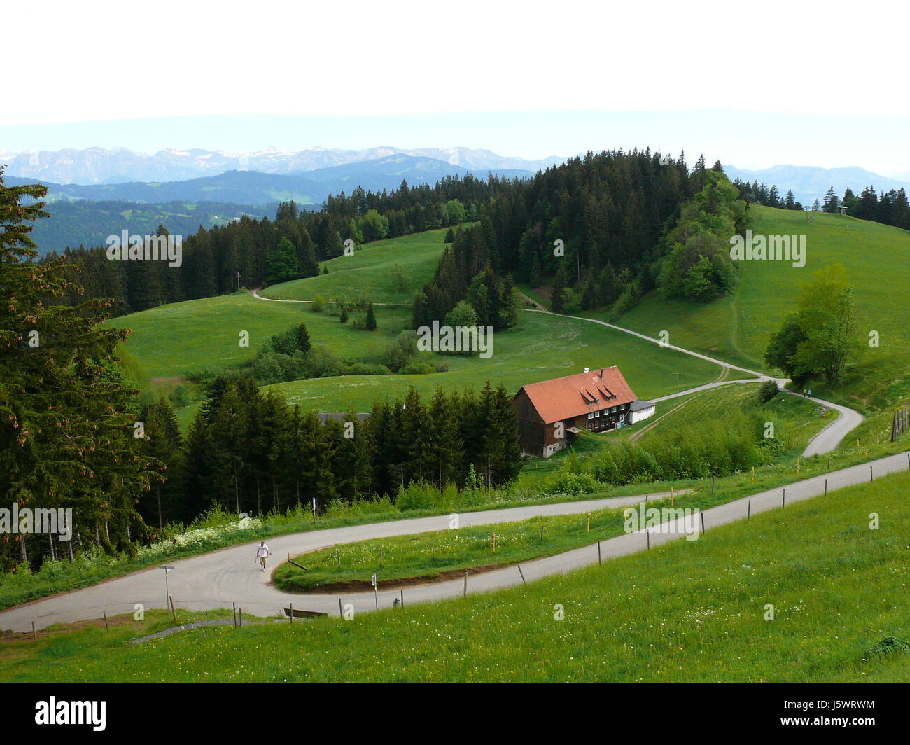 alps scenery countryside nature tree trees alps summit climax peak ...