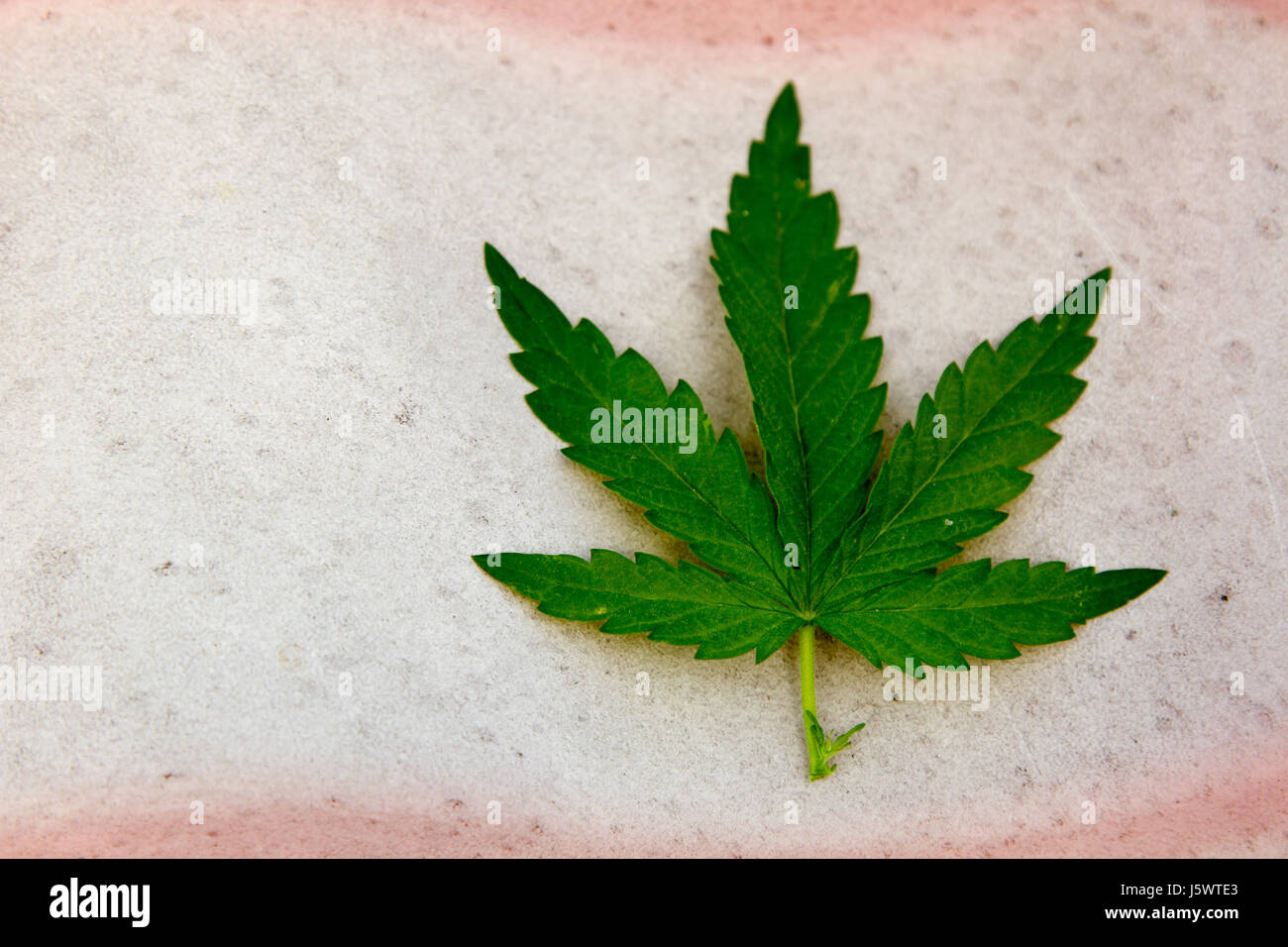 Cannabis leaf circle hi-res stock photography and images - Alamy