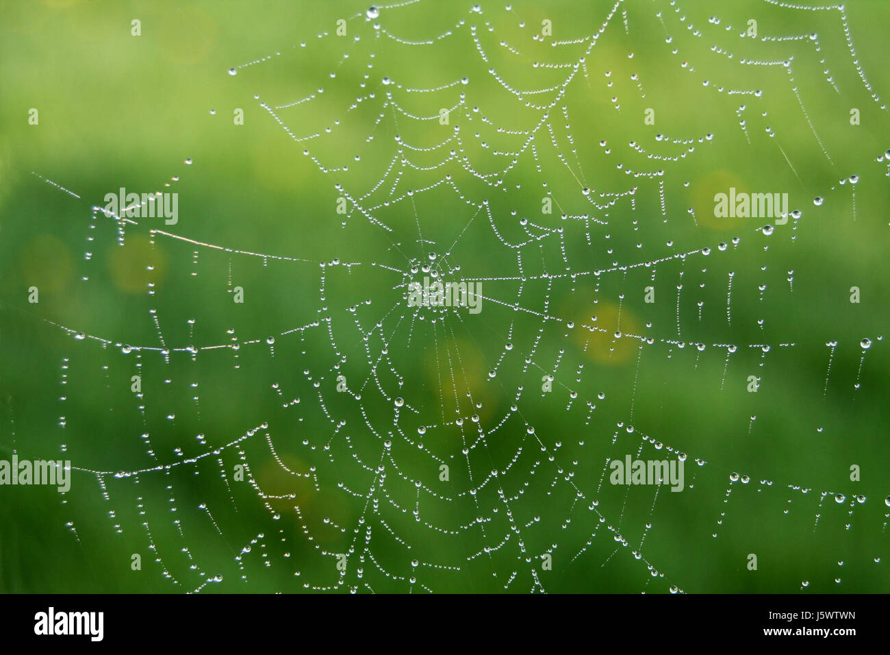 Spiders web art hi-res stock photography and images - Alamy