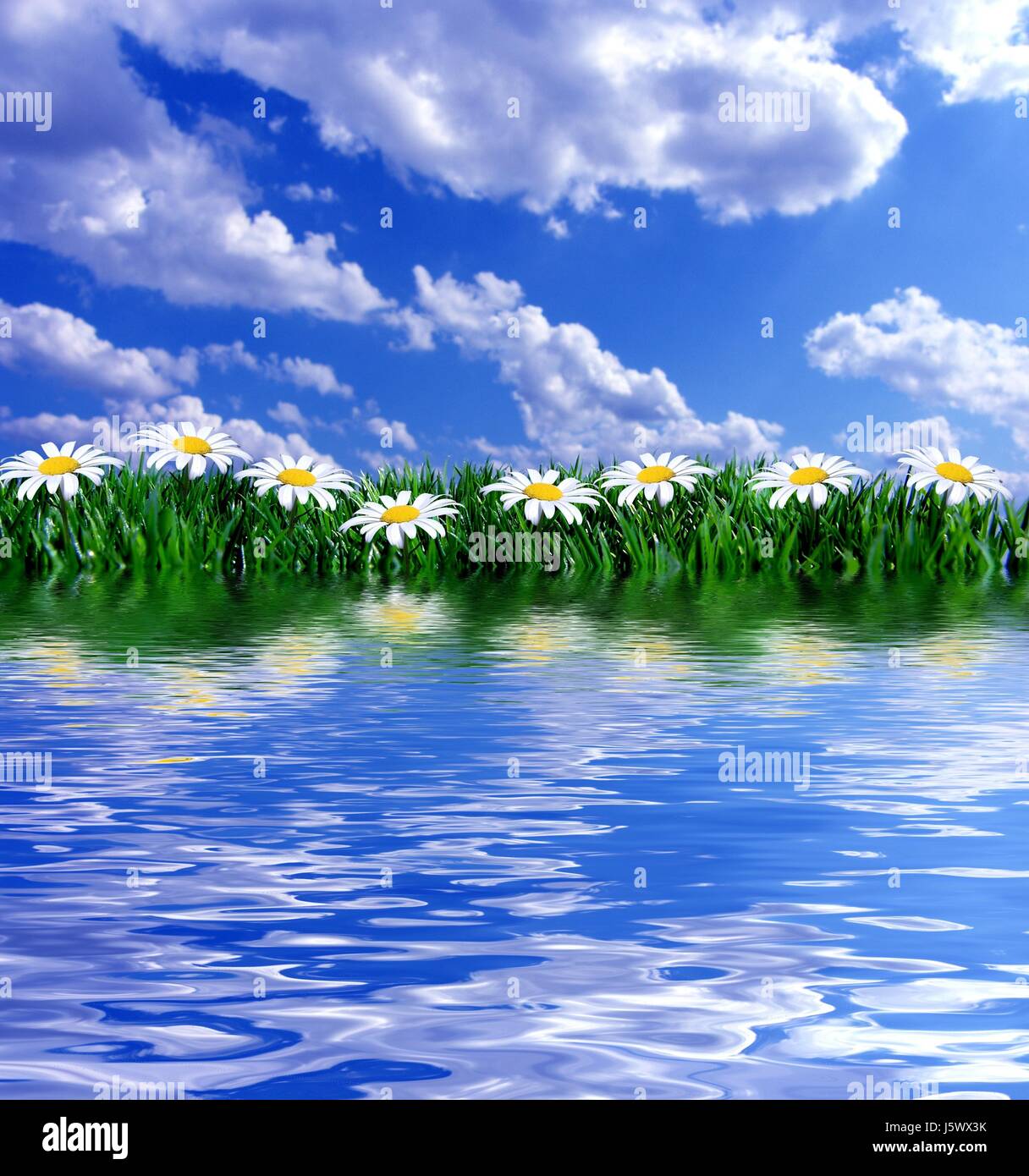 flowers on water Stock Photo - Alamy