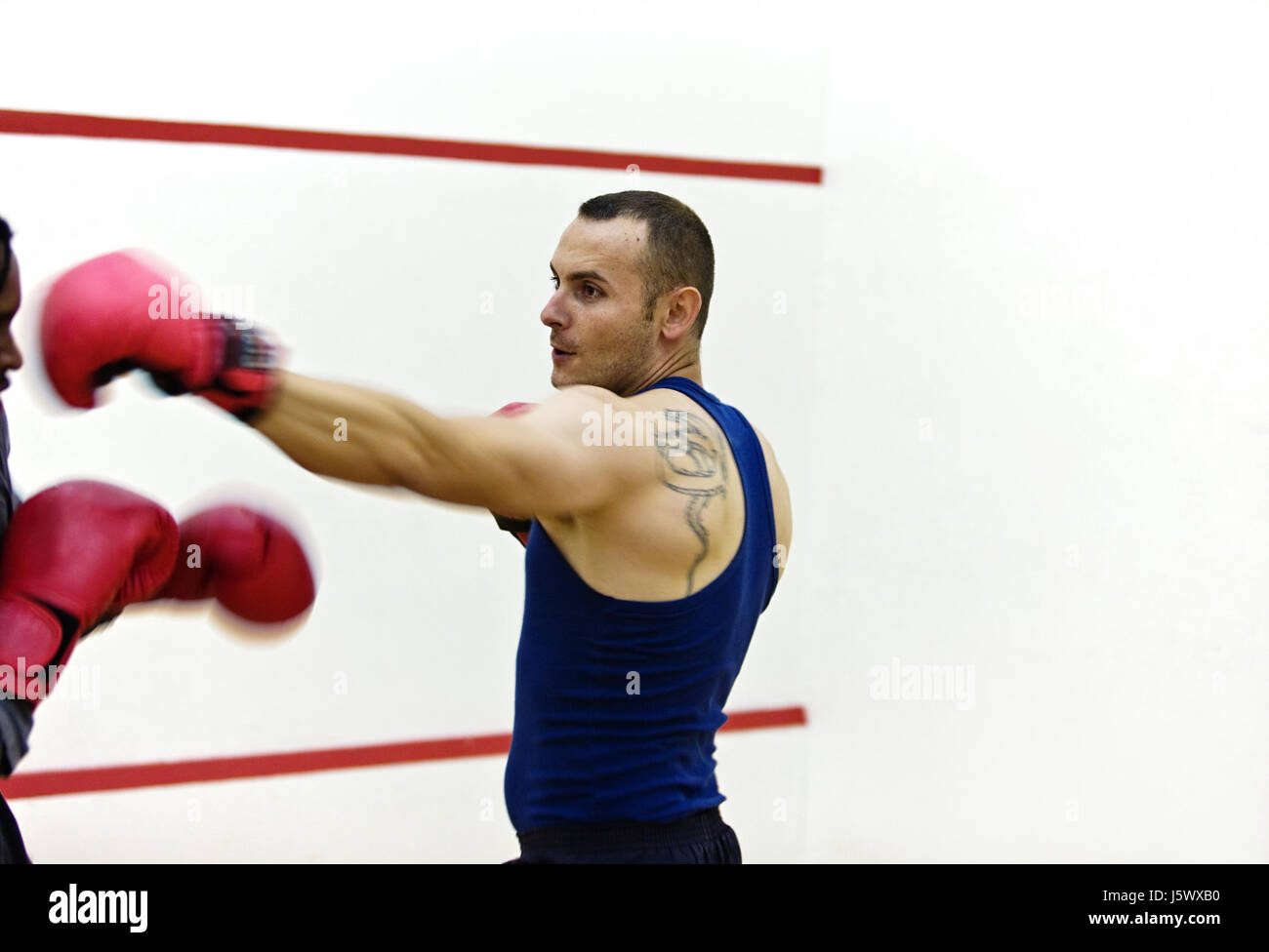 sport sports sportsman punch gloves fighter boxer strike hit hand big ...