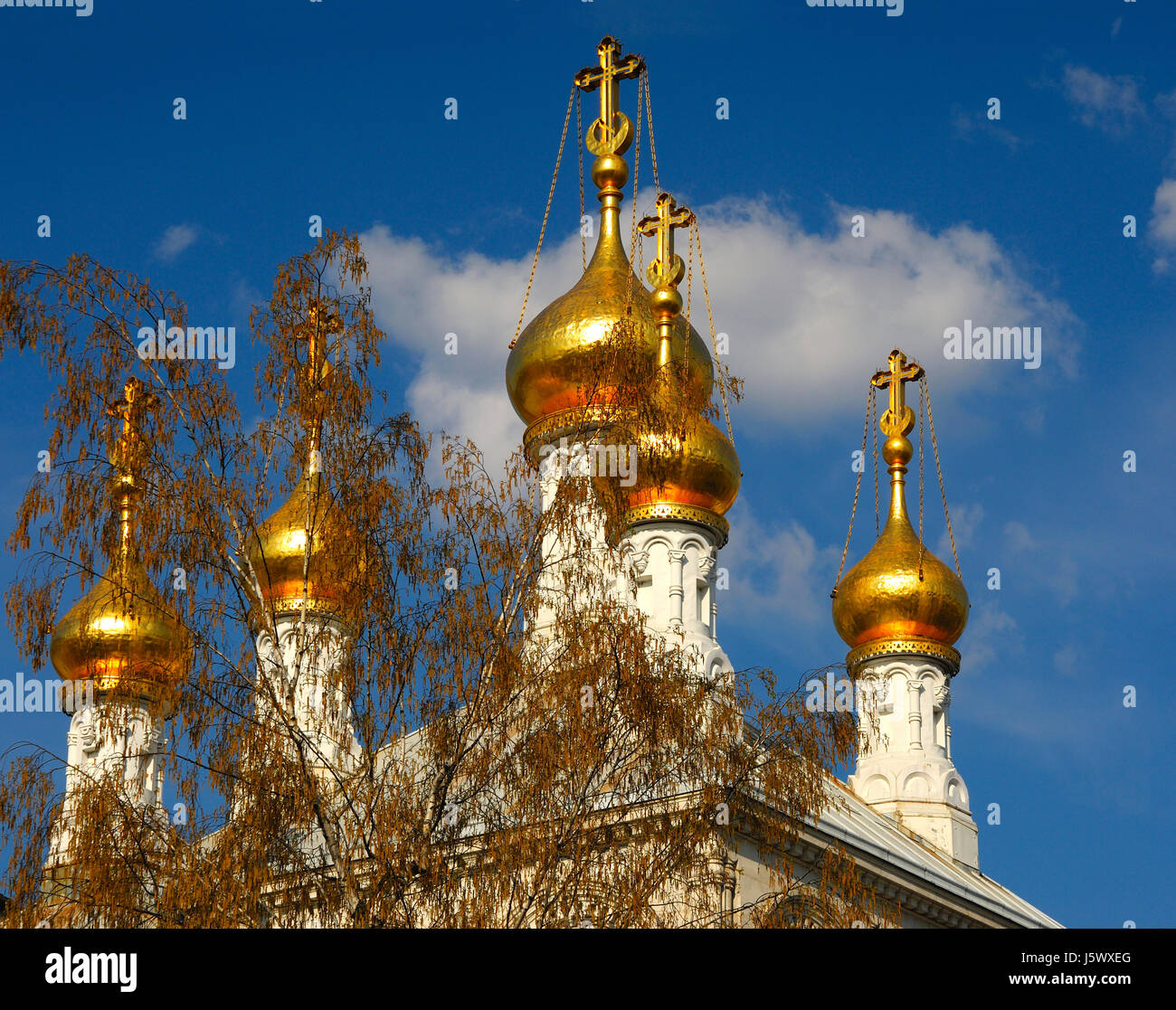 golden onion domes,russian orthodox Stock Photo - Alamy