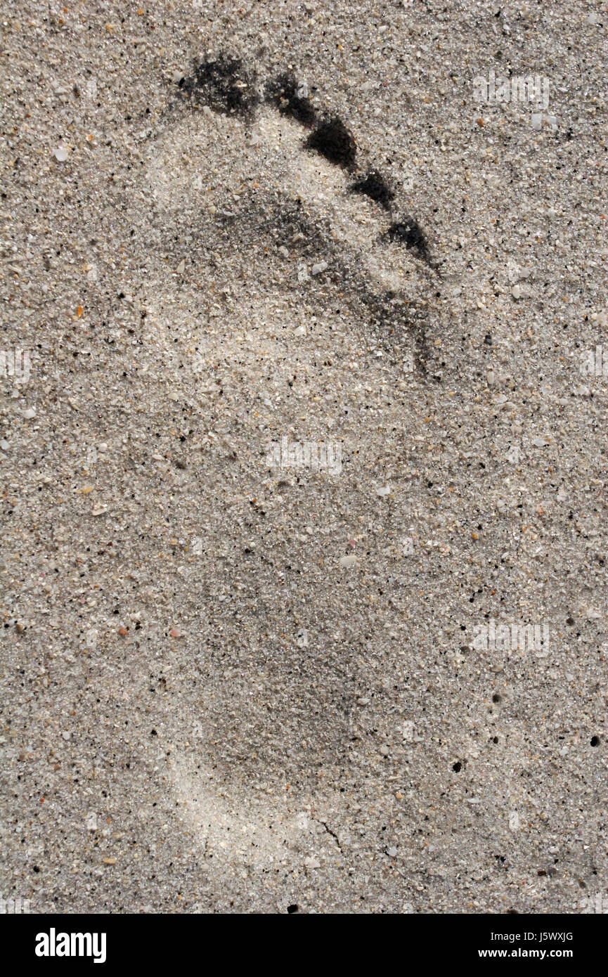 beach seaside the beach seashore usa america toes track copy sands sand ...
