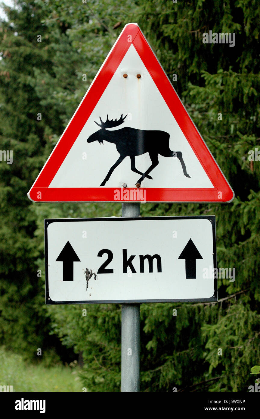 animals sign signal traffic sign elk estonia sign signal traffic ...