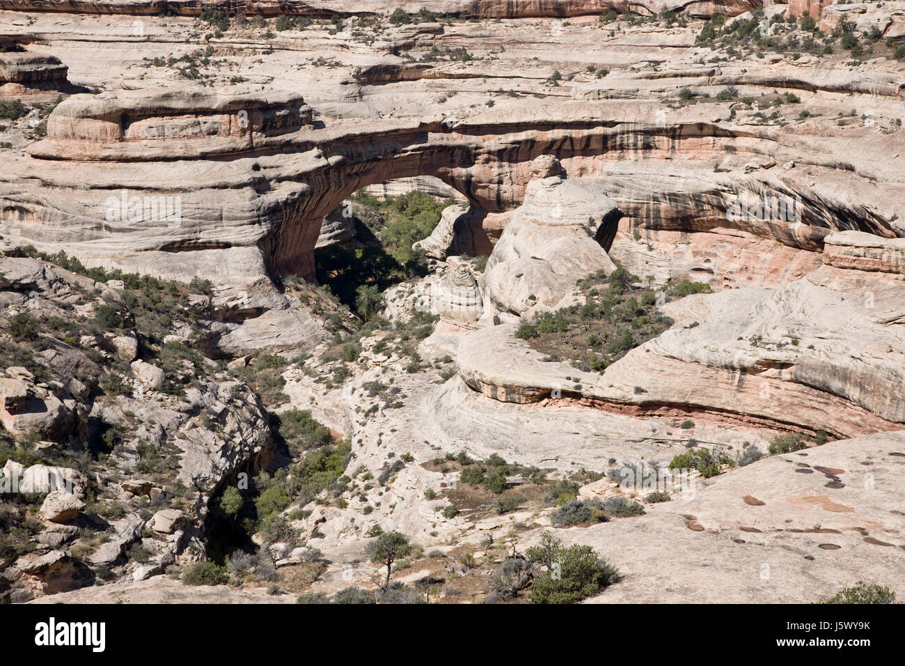 sipapu bridge natural bridges nm utah us Stock Photo - Alamy
