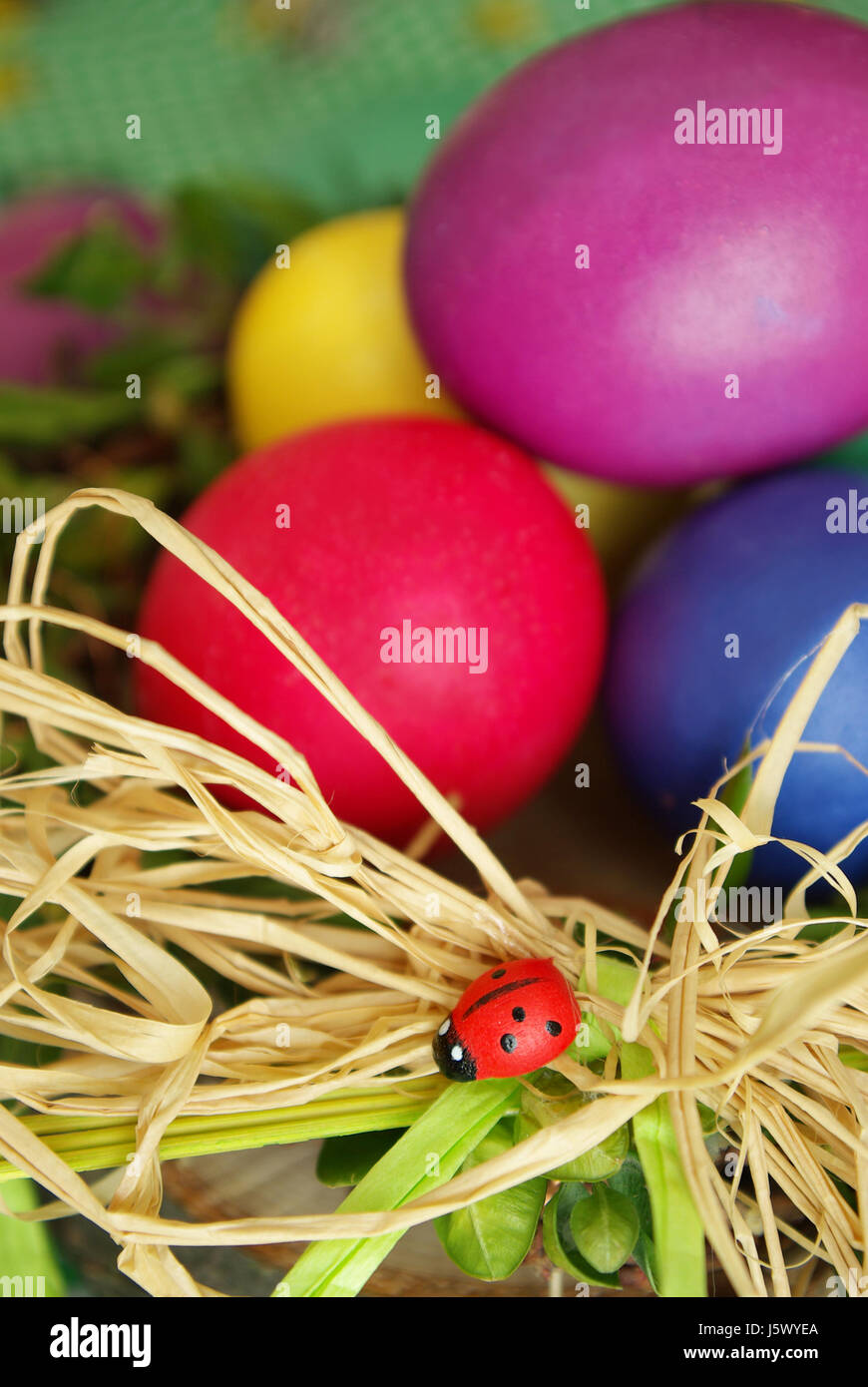 Decorative easter egg ladybug hi-res stock photography and images - Alamy