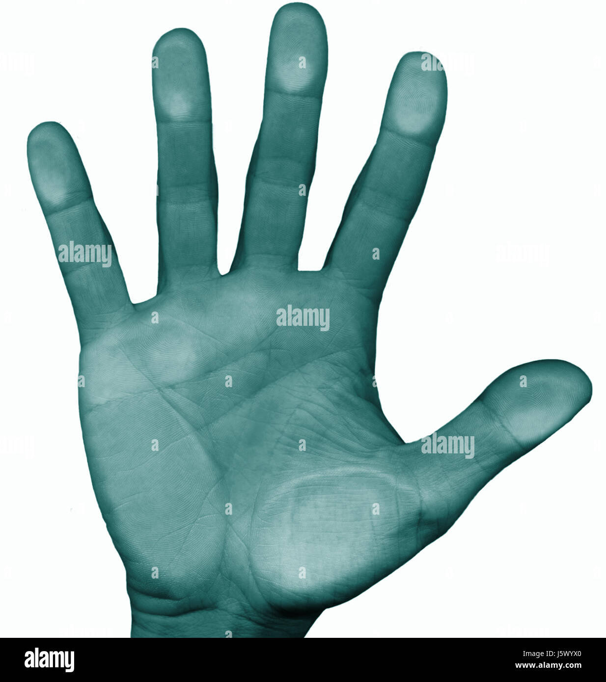 hand male masculine authentication biometric fingers authenticate body ... hand male masculine authentication biometric fingers authenticate body ...