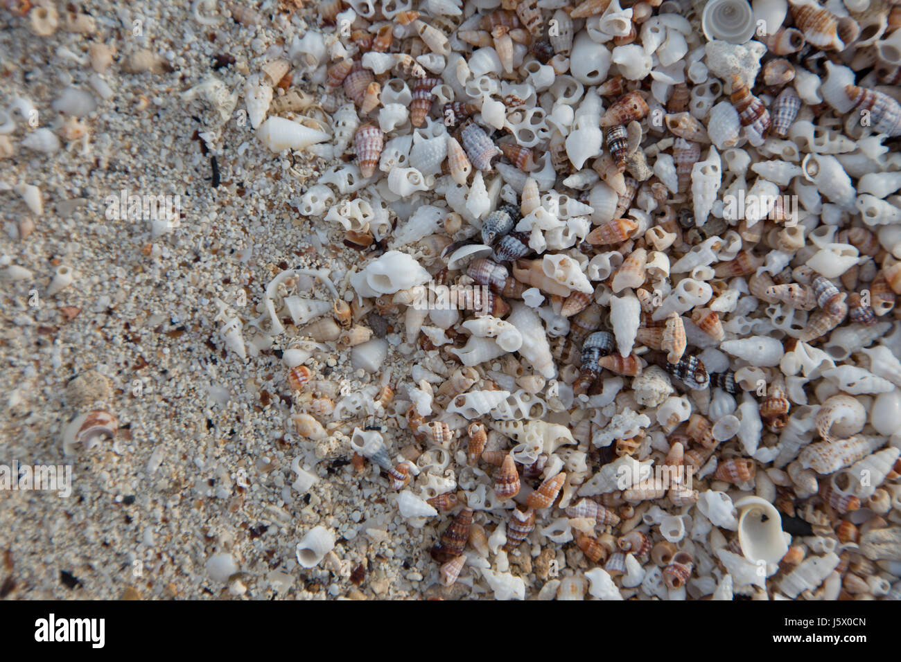 Close up tourism tropical seashore hi-res stock photography and images ...