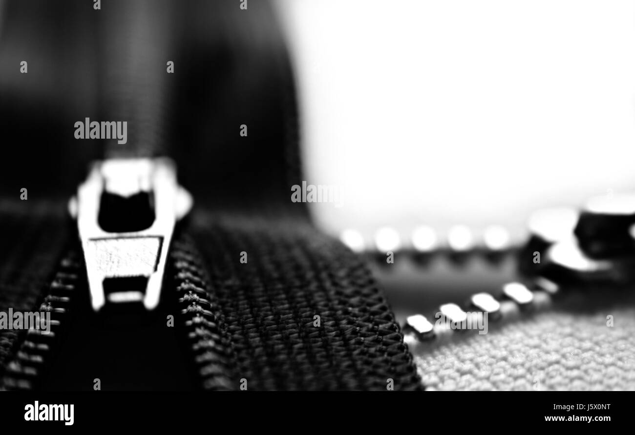 Black seal hi-res stock photography and images - Alamy