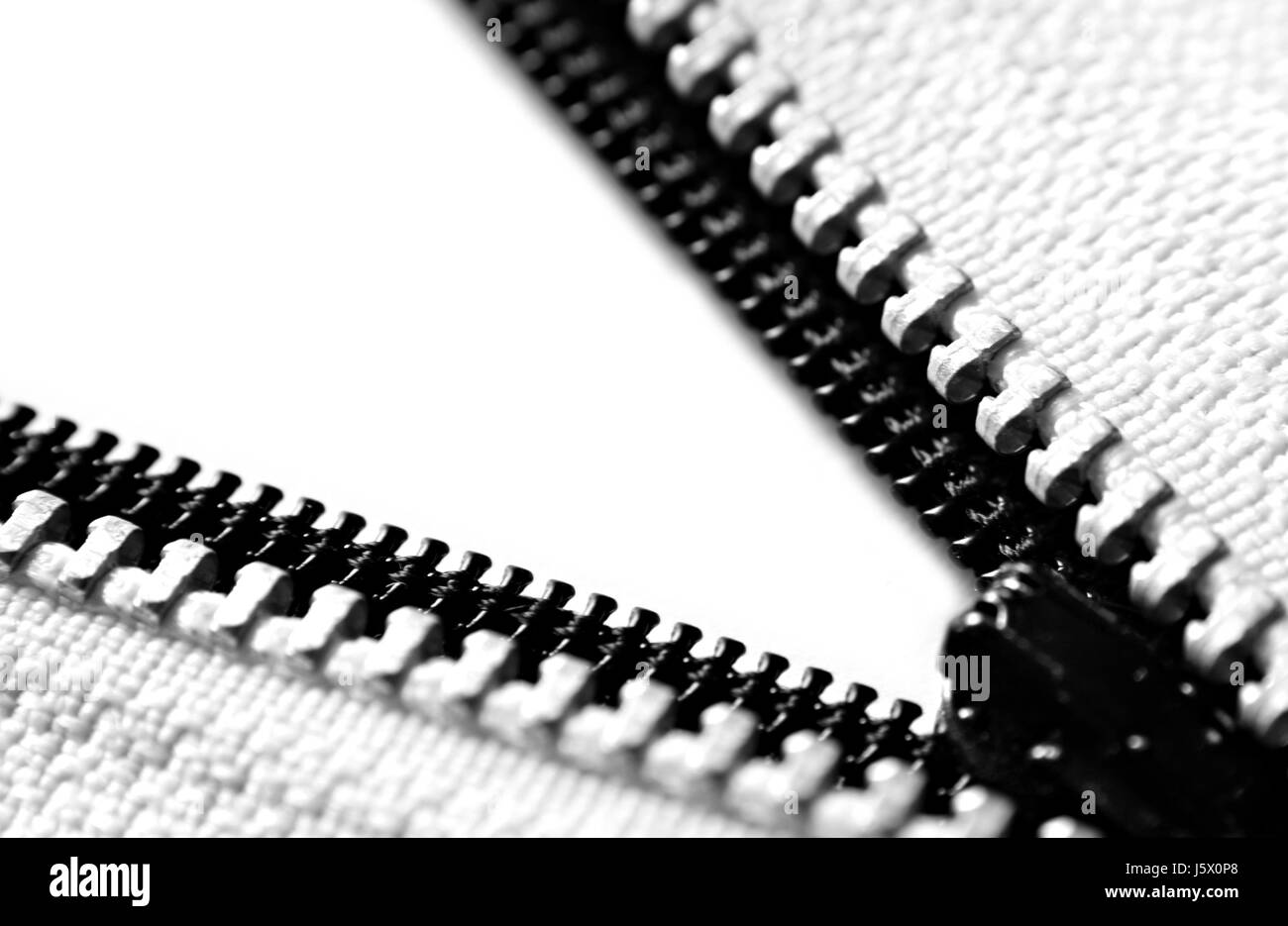 black swarthy jetblack deep black seal shutter limbs opened into one ...