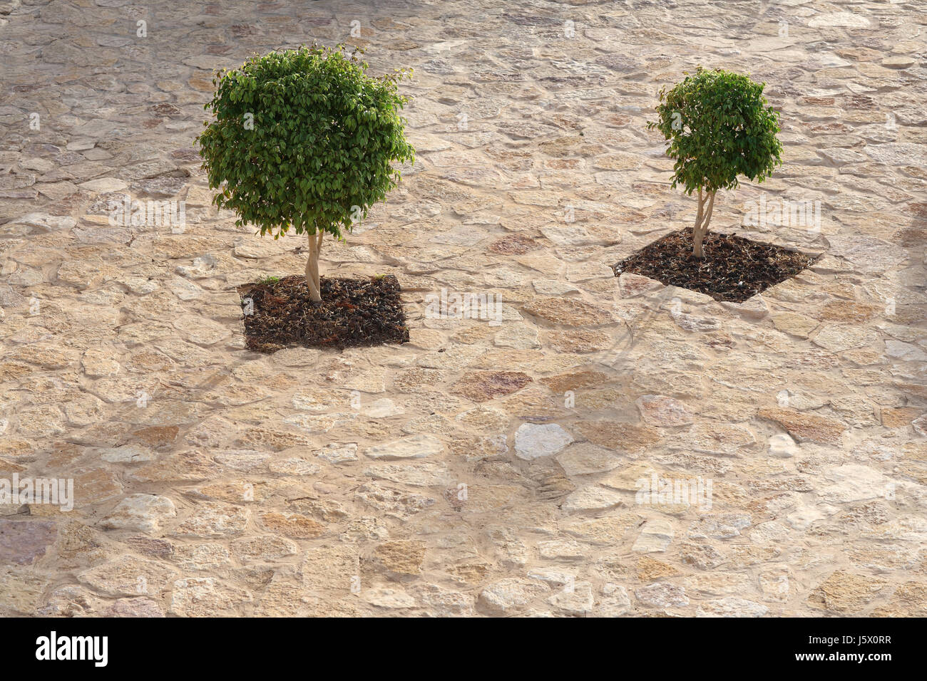 flow ground soil earth humus plaster ceramic tiles tiles path way ...