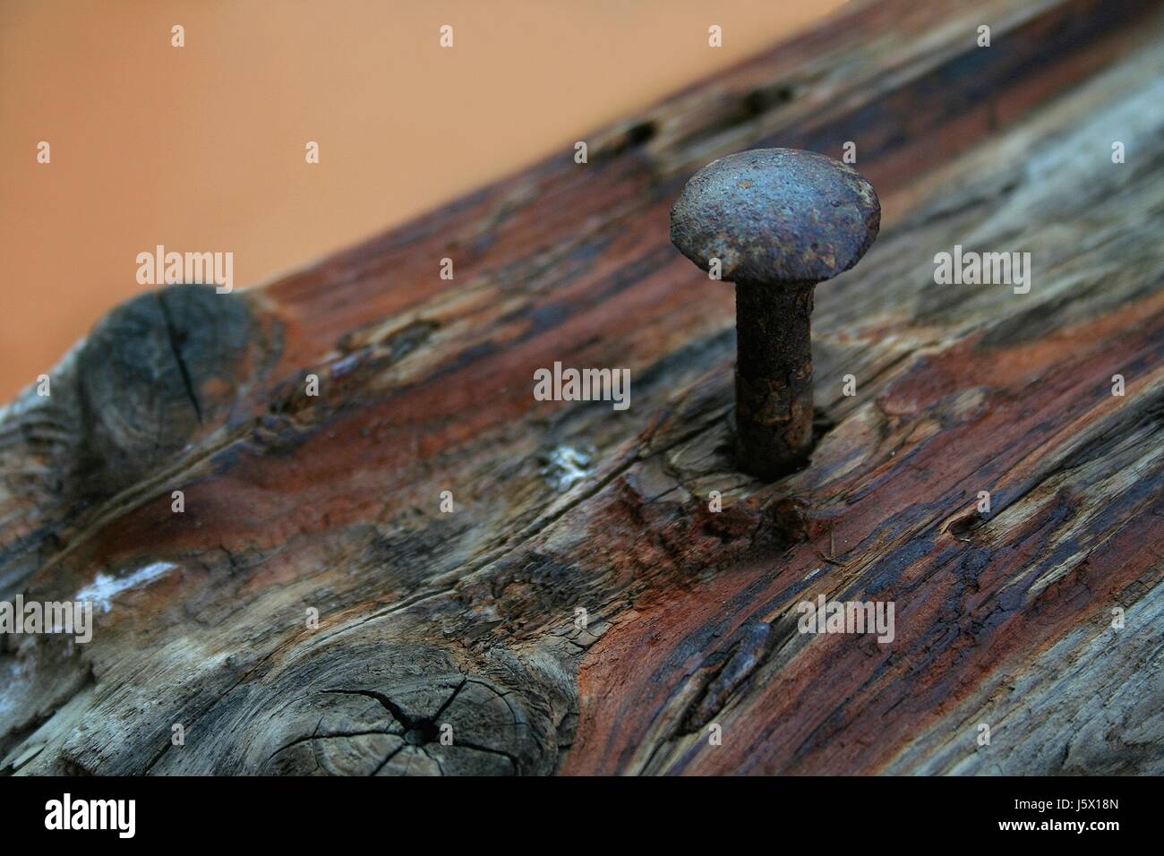 wood rusty rust vein nail design shaping formation shape model figure ...