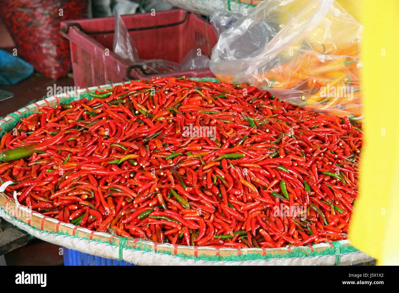 pepper,red peppers,red,pepper,spice,asia,thailand,red peppers,red ...